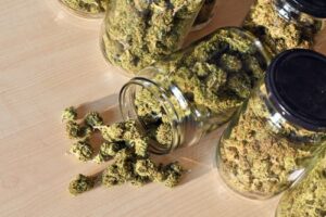 Qué es el tetrahidrocannabinol y cómo funciona